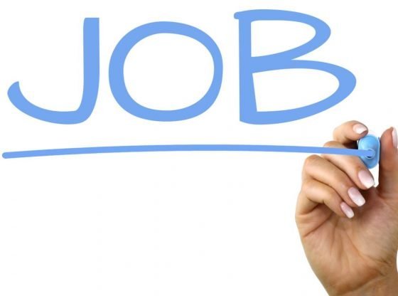 22.02.2022 : കേരളത്തിലെ തൊഴിലവസരങ്ങൾ - Free Job Alerts Kerala
